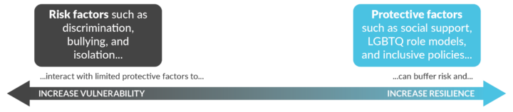 Protective Factors for the Mental Health of LGBTQ+ Youth