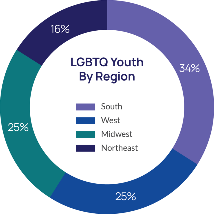 The Impact of Living in the South on LGBTQ+ Youth