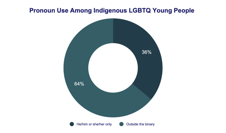 The Mental Health and Well-Being of Indigenous LGBTQ Young People | The ...